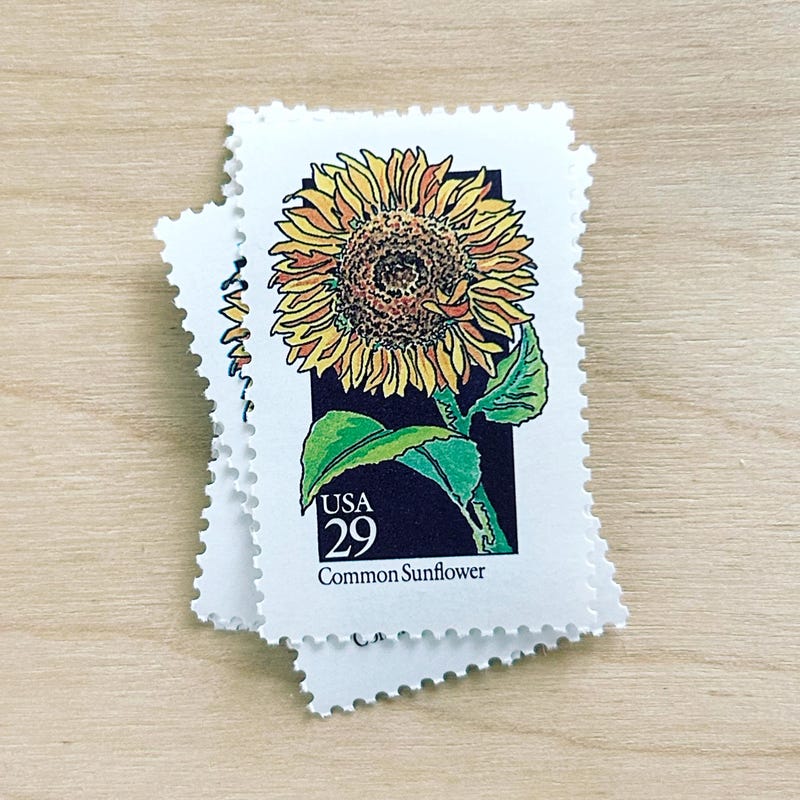 Sunflower Stamp - Etsy