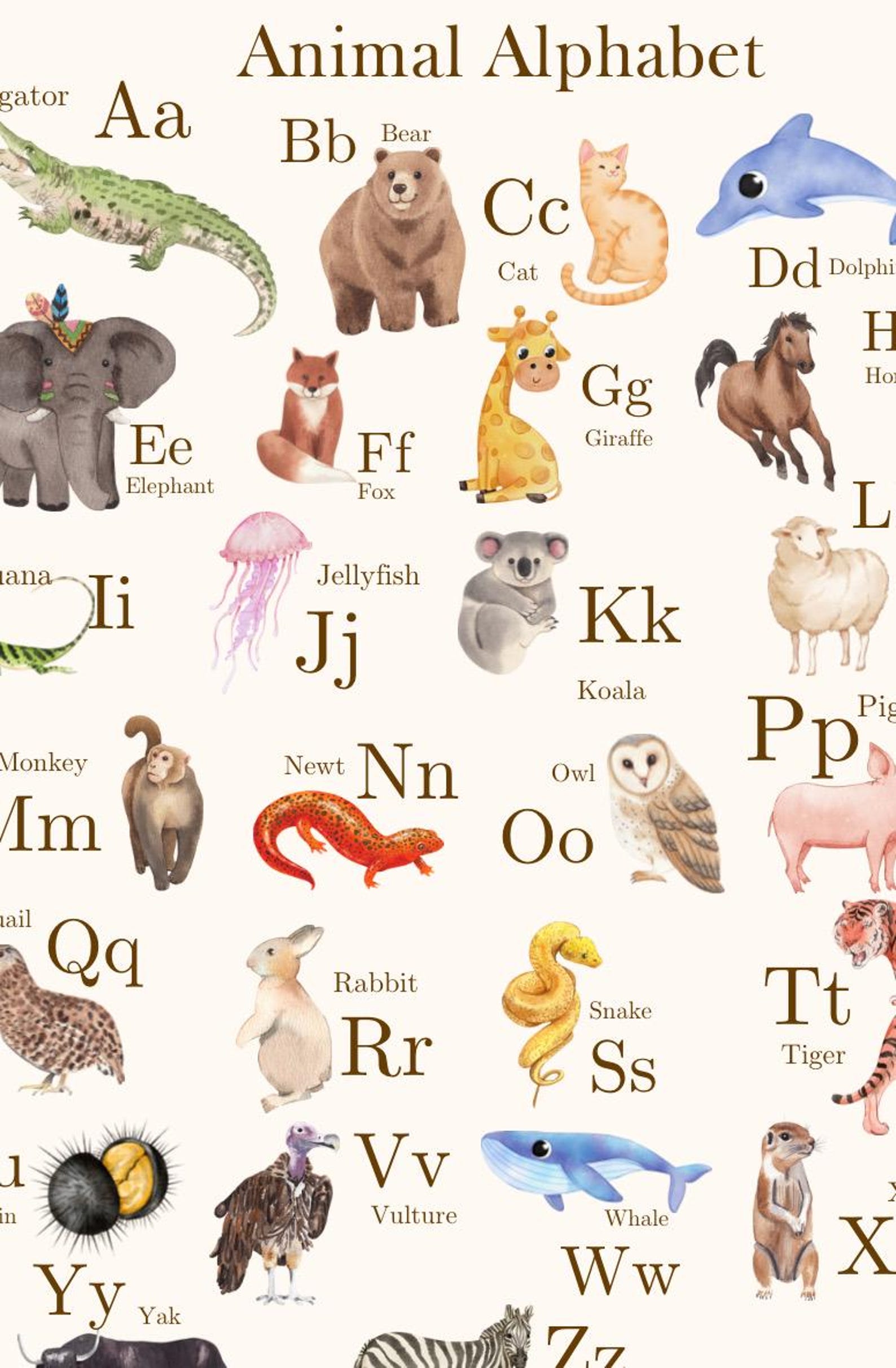 Alphabet Animal Education Printable on A3 Paper - Etsy