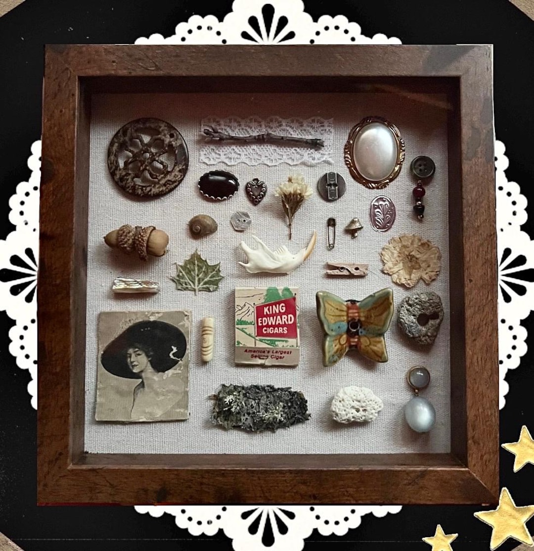 Oddities and Curiosity Shadow Box- 10x10 -unique and Unusual- Vintage ...