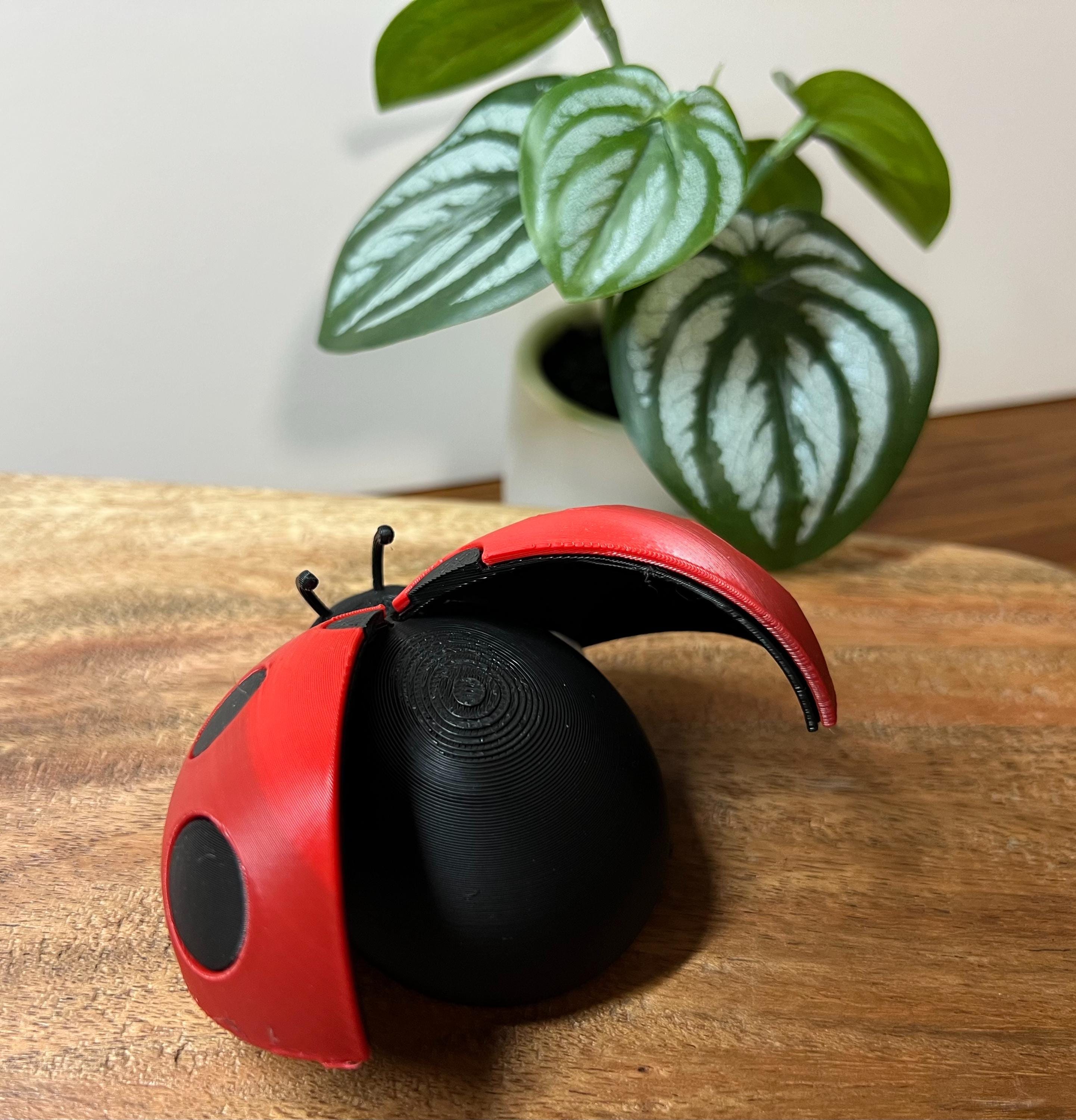Articulated Ladybug Fidget Toy: 3D Printed Sensory Desk Decor - Etsy
