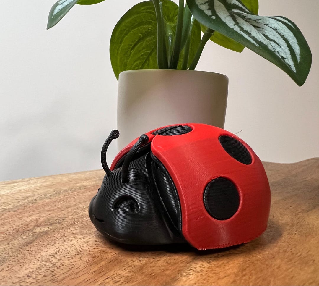 Ladybug | 3D Printed | Fidget Toy | Stress Reliever | Desk Toy ...