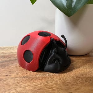 Articulated Ladybug Fidget Toy: 3D Printed Sensory Desk Decor - Etsy
