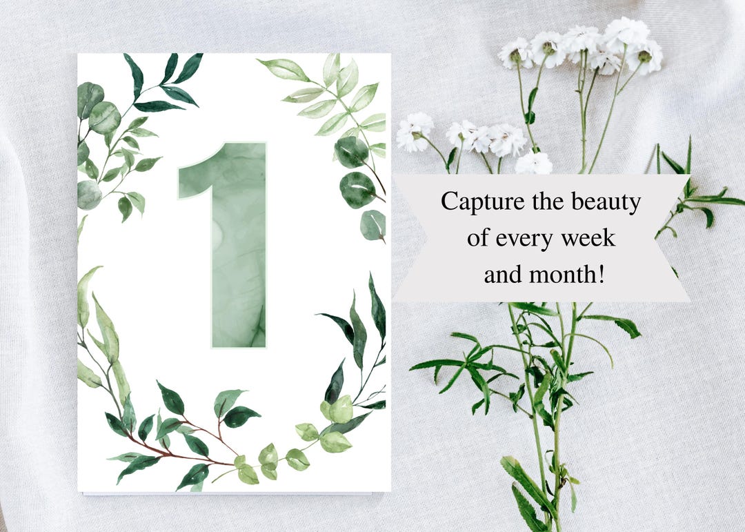 Baby's First Year Milestone Cards | Minimalist Nature Design | Monthly ...