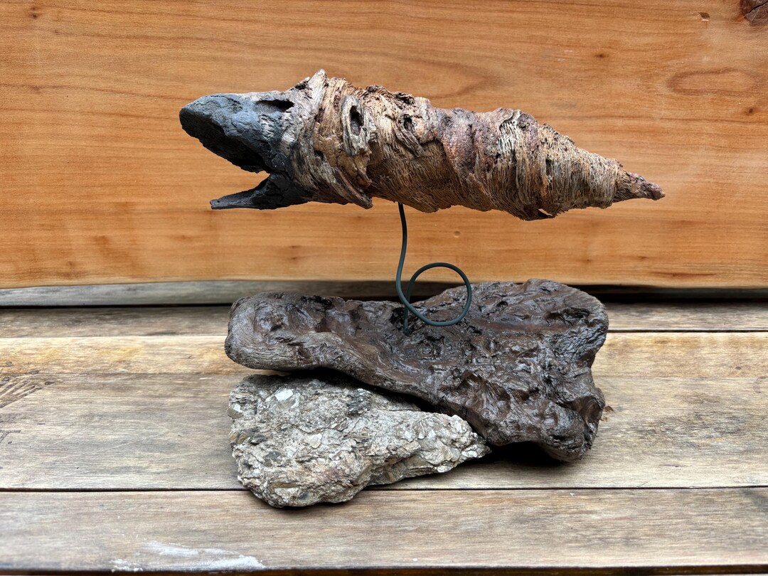Driftwood Relic White Pine Resembling Fish. Tabletop Display Piece - Etsy