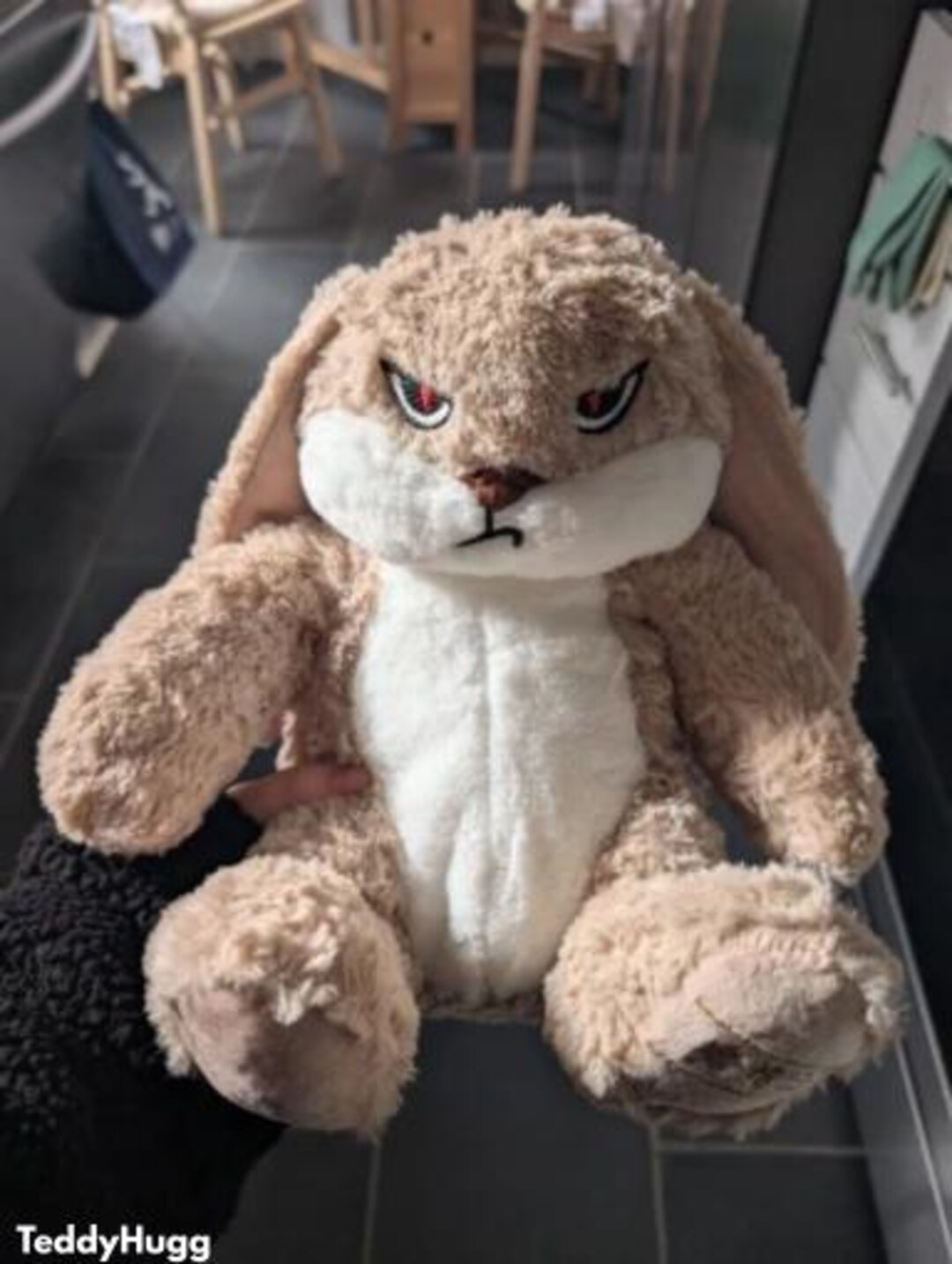 Grumpy Bunny Plush – the Adorably Angry Stuffed Rabbit With Attitude ...