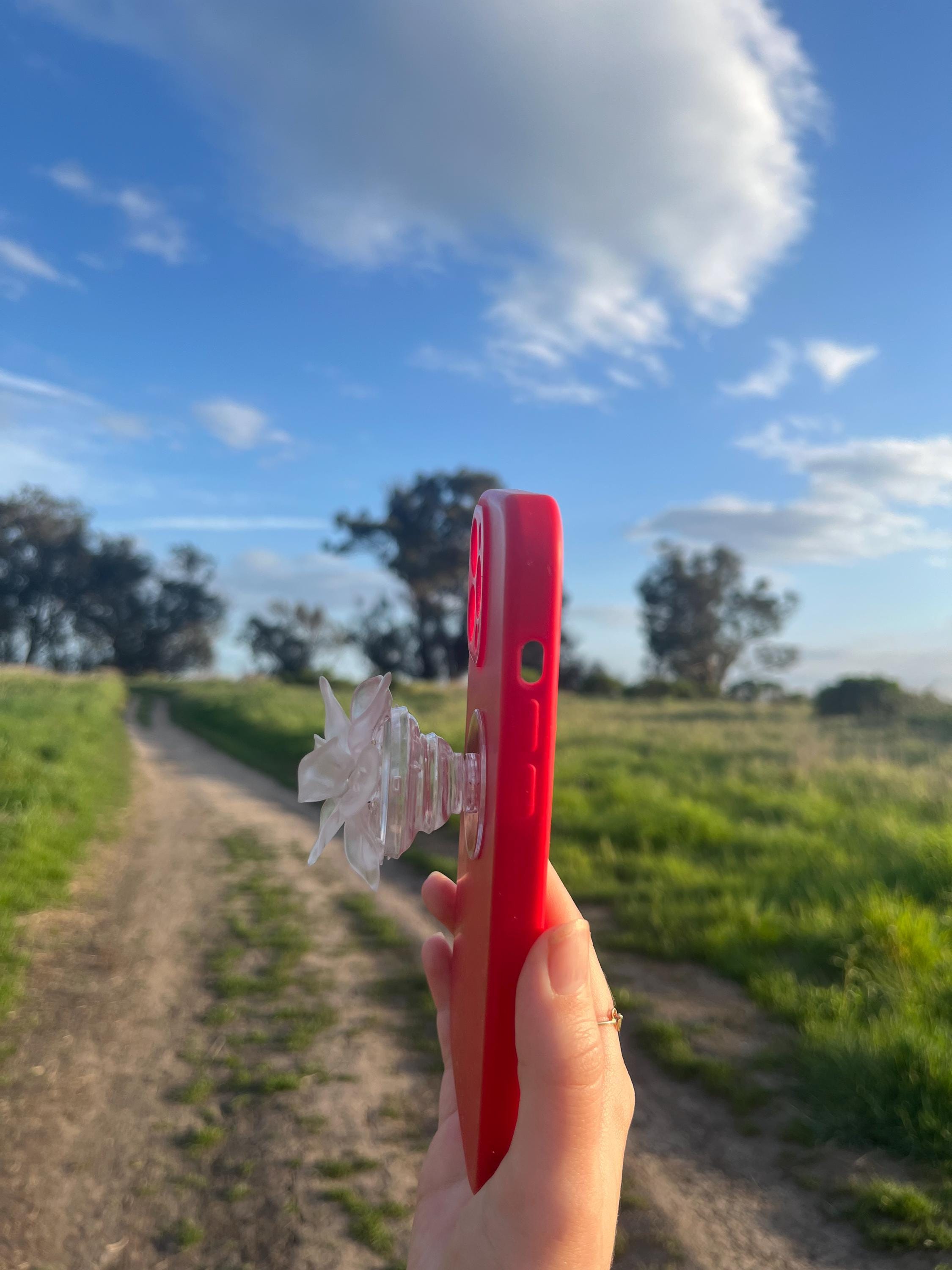 Elegant, Minimalistic, Dainty, Durable, Floral Popsocket - Etsy