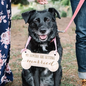 Pet Sign for Engagement Save the Date Photography - Dog Save the Date ...