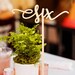 Standing Table Number Sticks Signs for Wedding & Party Table - Etsy