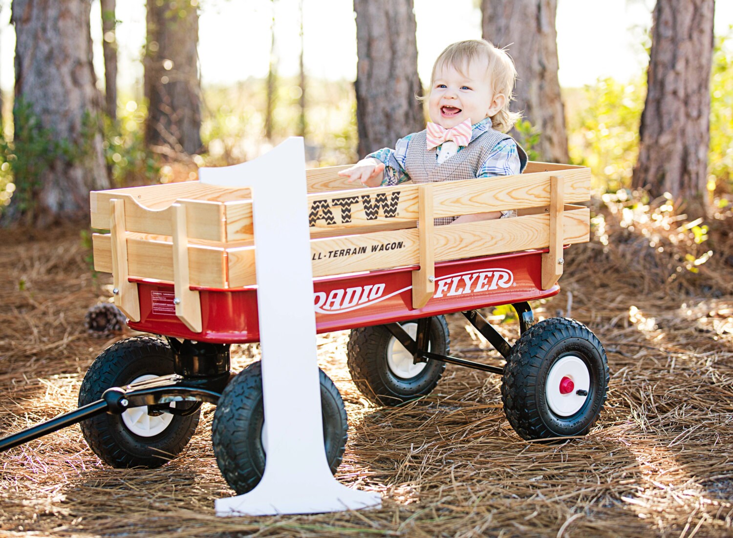 Giant Number Photo Prop Large Wooden Number 1 One | Etsy