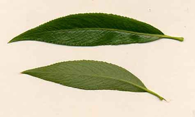 5mm Textured Matte Wedding Band Handmade Comfort Fit - Etsy