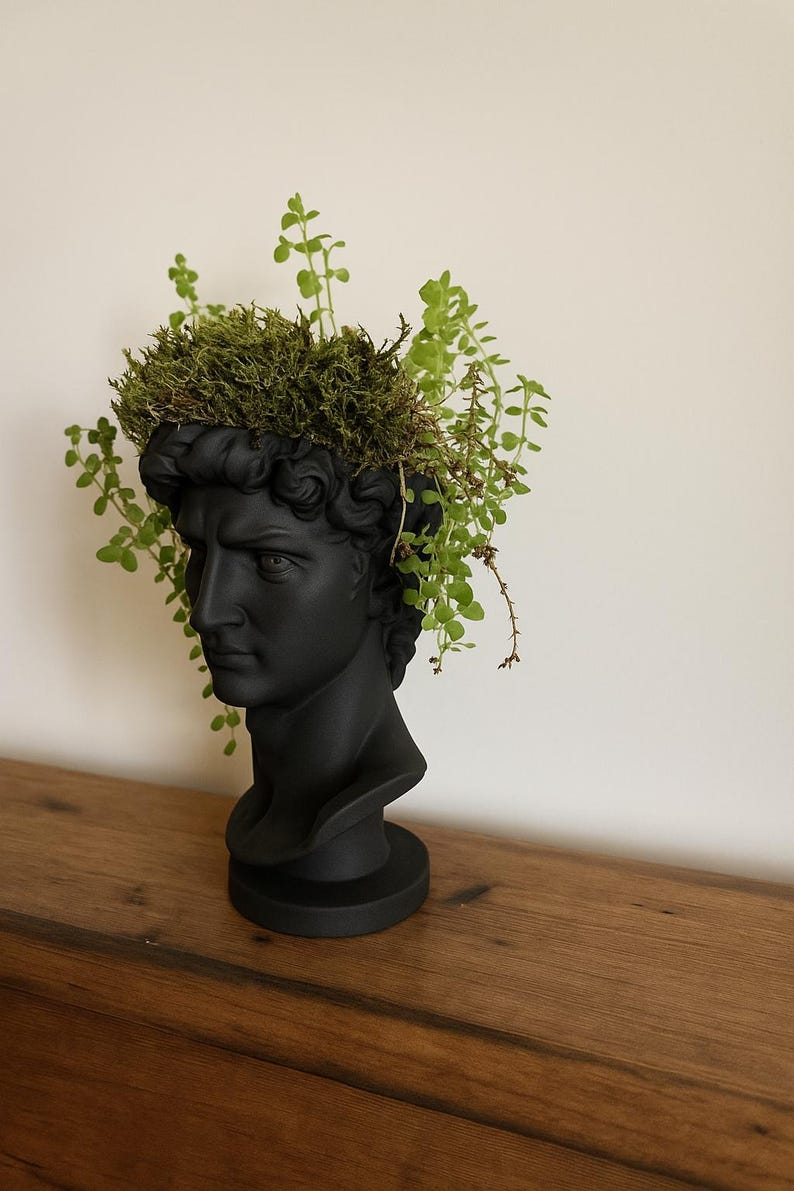David Head Planter – 20cm 3D Printed Statue Flower Pot – Multi Colour ...