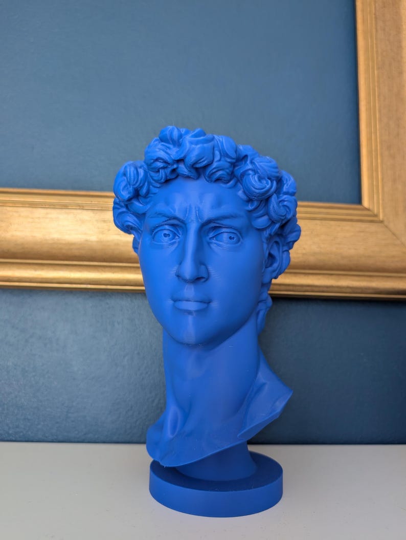 David Head Planter – 20cm 3D Printed Statue Flower Pot – Multi Colour ...