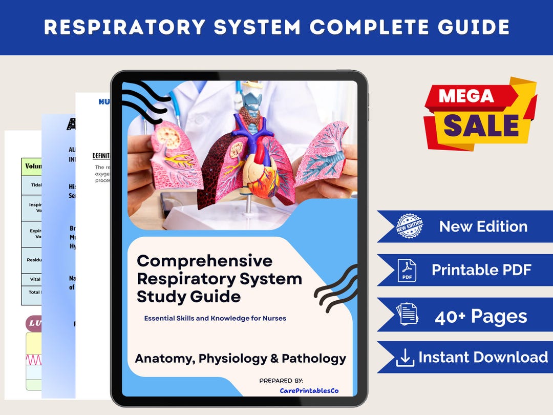 Respiratory System Study Guide | Respiratory Disorders | Notes for ...