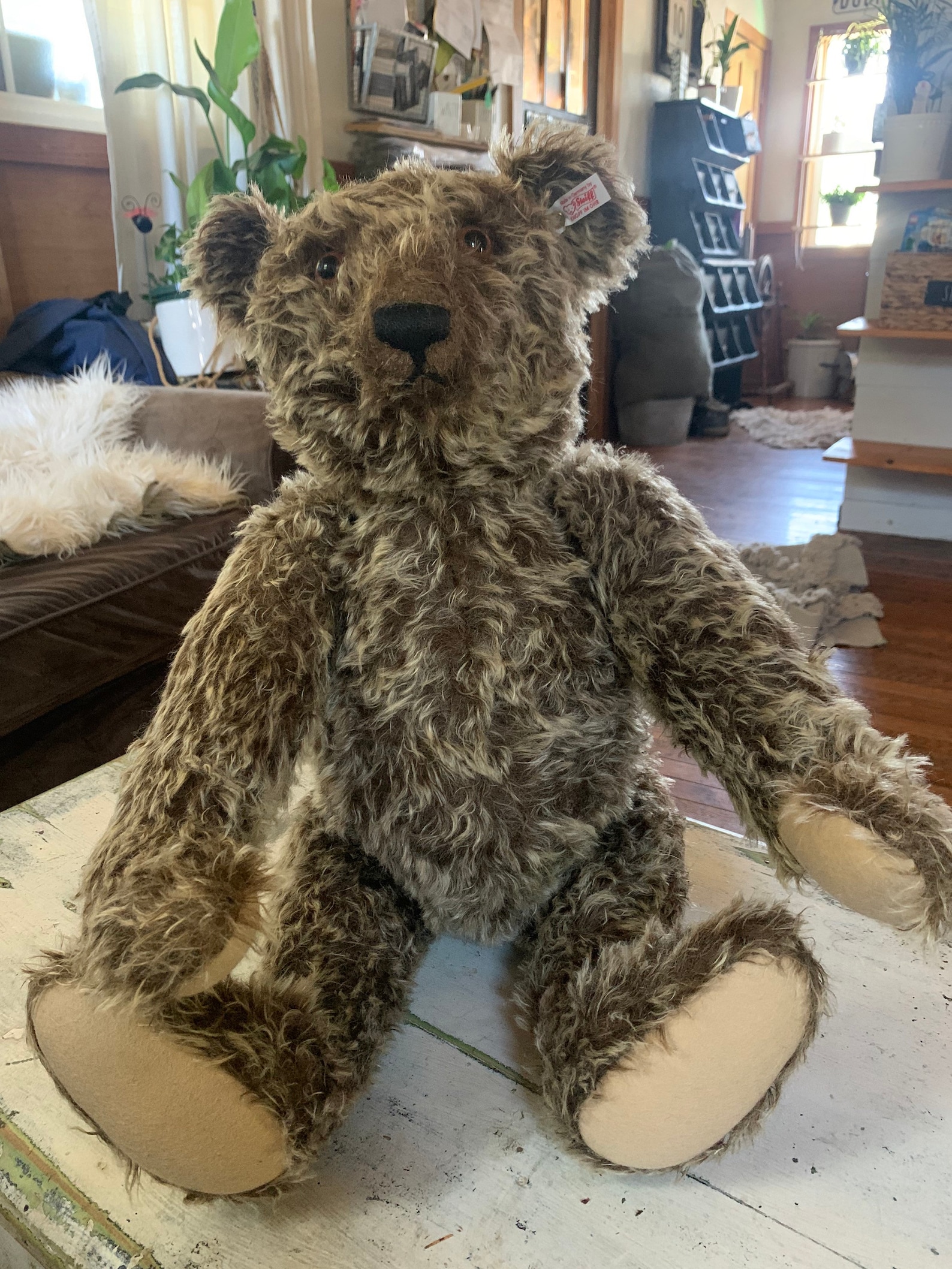Steiff Stuffed Animals - Toys to Love for a Lifetime