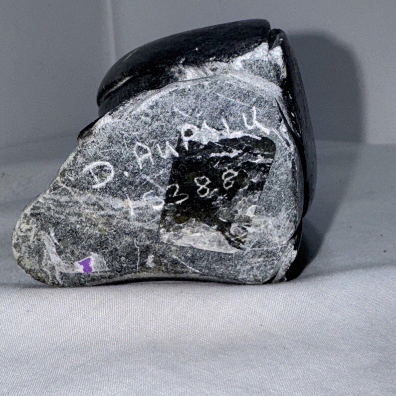 Rare Native Inuit Carved Soapstone Puffin Penguin Art Signed D. Aupalu ...