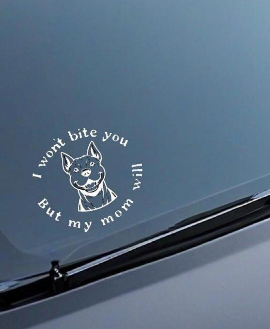Custom Pet Decal | Funny 'I Won't Bite' Car Sticker - Etsy