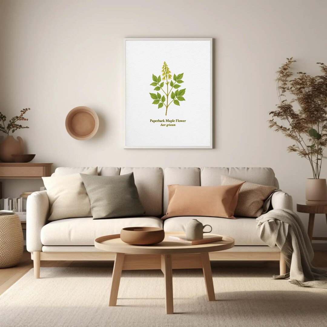 Paperbark Maple Flower Botanical Print – Vintage Floral A4 Wall Art for ...