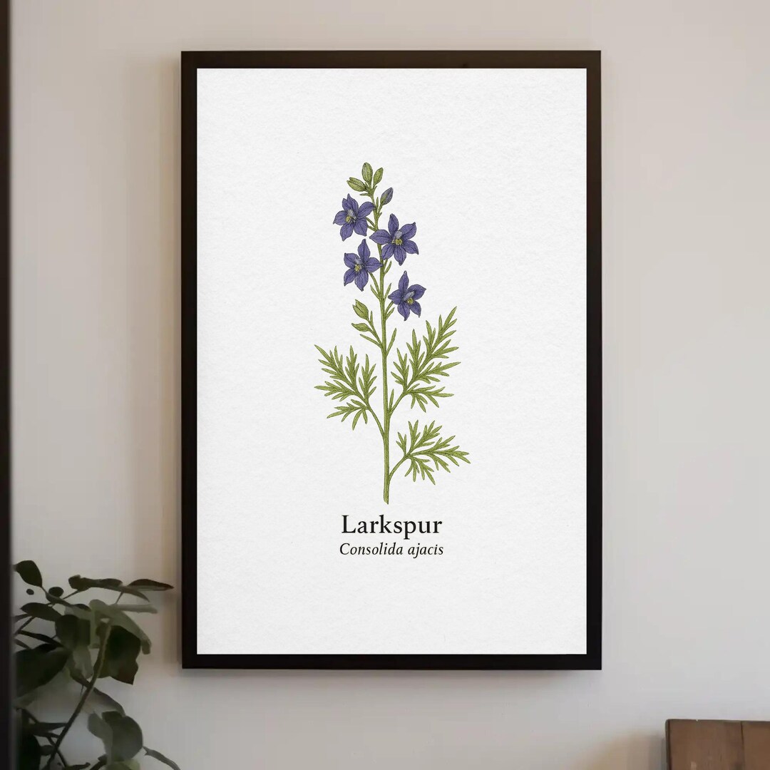 Larkspur Botanical Print – Vintage Floral A4 Wall Art for Home Decor - Etsy