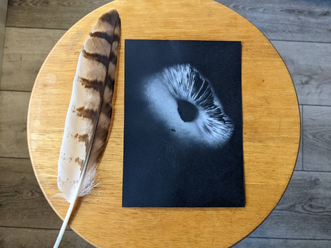 Toadstool Spore Print | 5x7" | Fly Agaric Amanita Muscaria | Minimalist ...