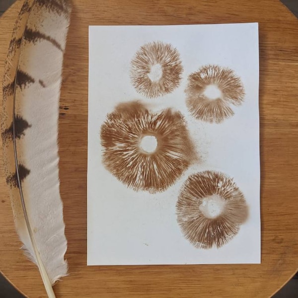 Spore Print - Etsy