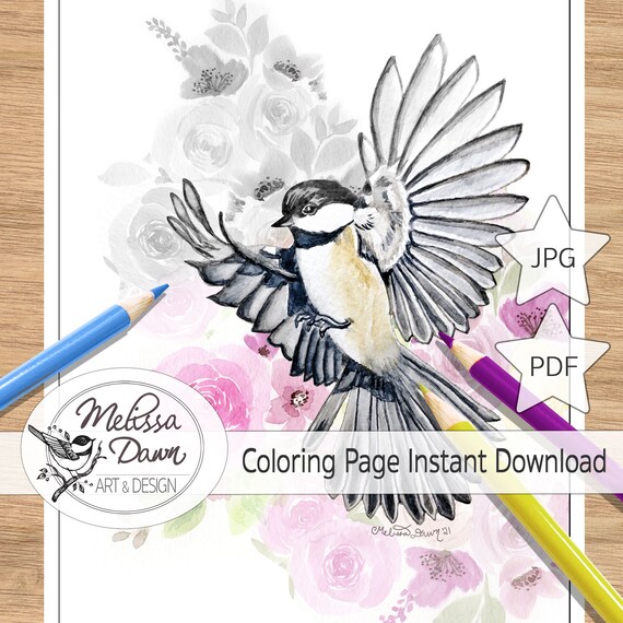 Bird Coloring Page / Easter Coloring Page / Bird Coloring | Etsy