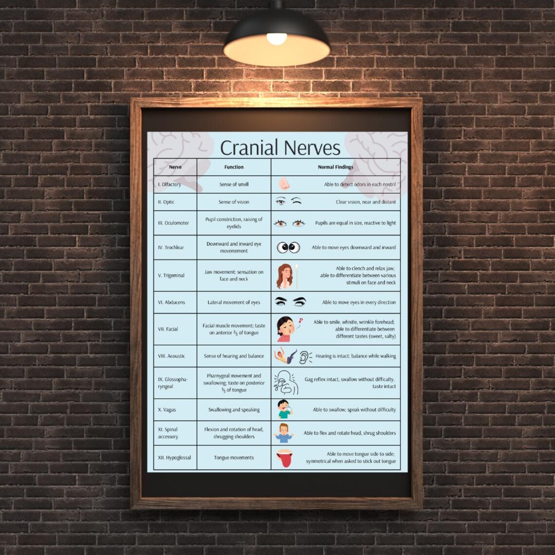 RN LPN Cranial Nerves Study Poster INSTANT Digital Download - Etsy