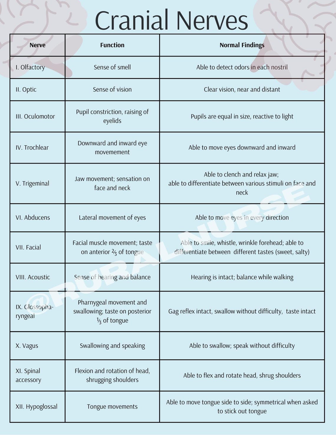 RN LPN Cranial Nerves Study Poster INSTANT Digital Download - Etsy