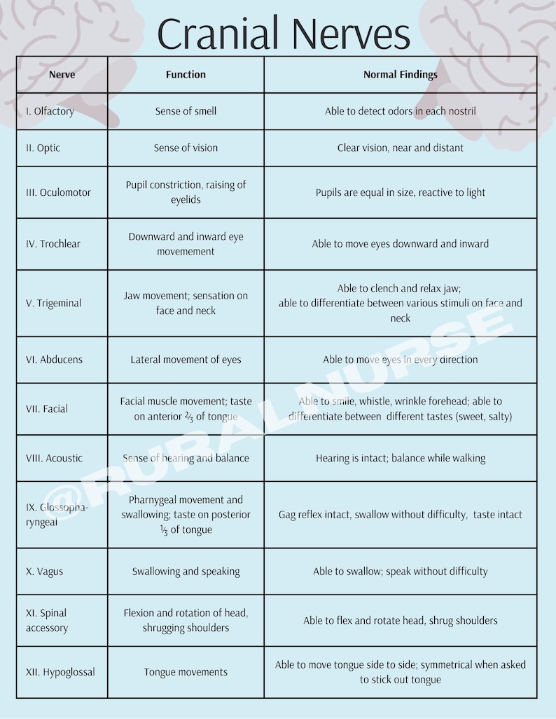 RN LPN Cranial Nerves Study Poster INSTANT Digital Download - Etsy