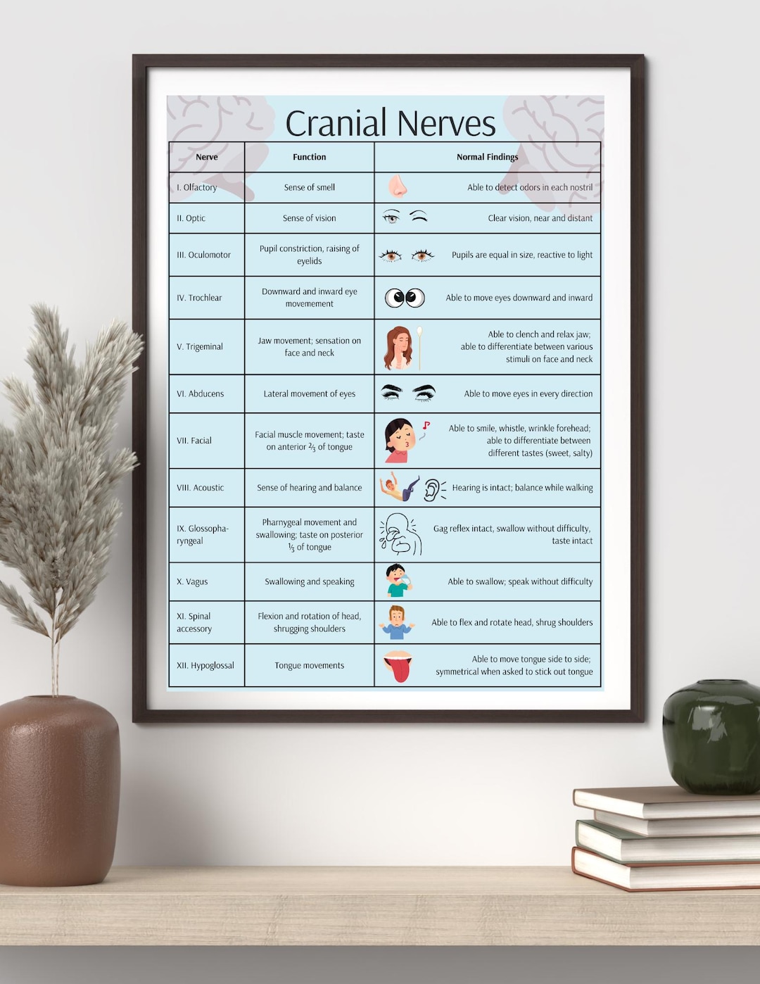 RN LPN Cranial Nerves Study Poster INSTANT Digital Download - Etsy