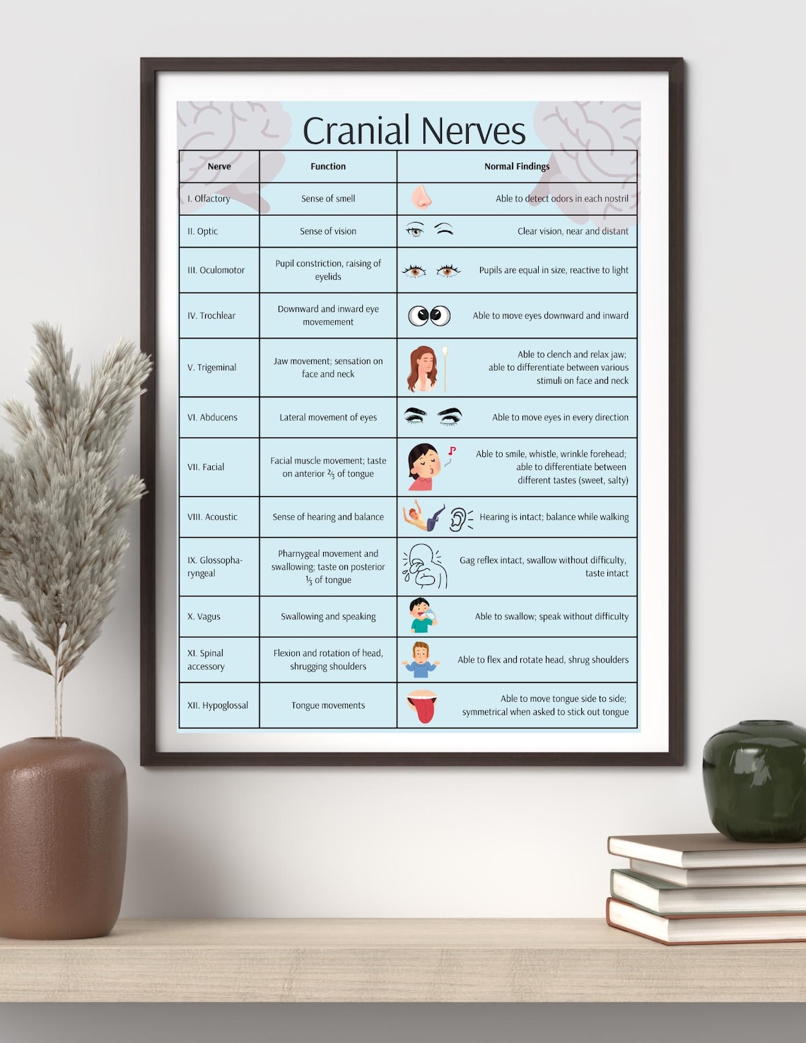 RN LPN Cranial Nerves Study Poster INSTANT Digital Download - Etsy