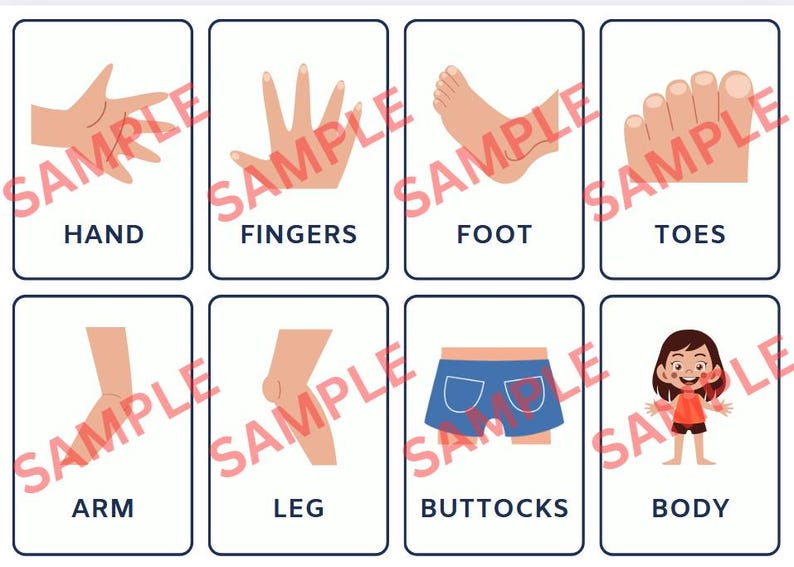 Printable Body Parts Flashcards for Kids | Preschool Learning Cards ...