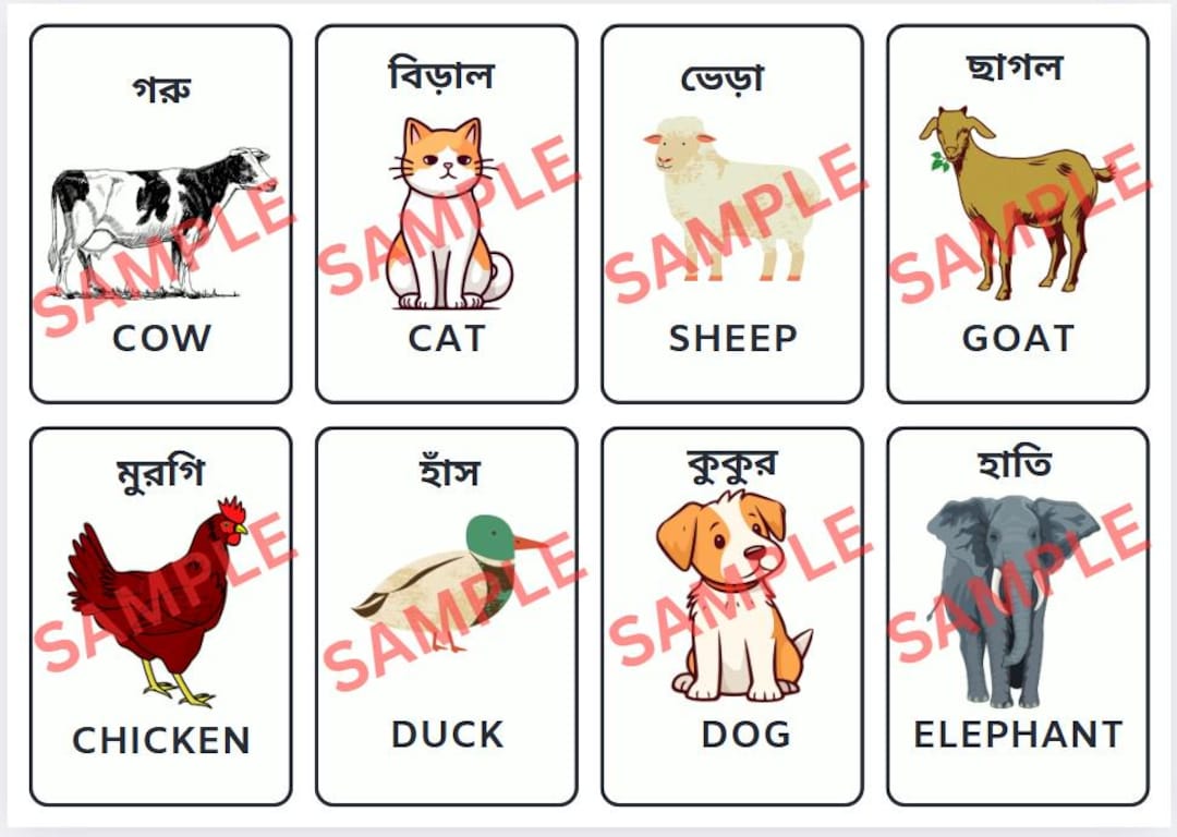 Bangla Animal Flashcards for Kids | Bengali Learning Printable ...