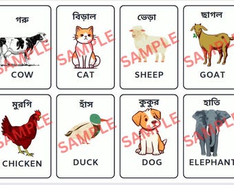 Bangla Days of the Week Flashcards | Bengali Learning Printable ...