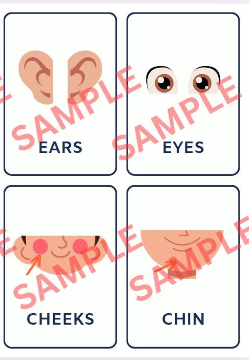 Printable Body Parts Flashcards for Kids | Preschool Learning Cards ...
