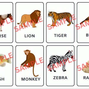 Printable Animal Flashcards for Kids | Preschool Learning Cards ...