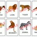 Printable Animal Flashcards for Kids | Preschool Learning Cards ...