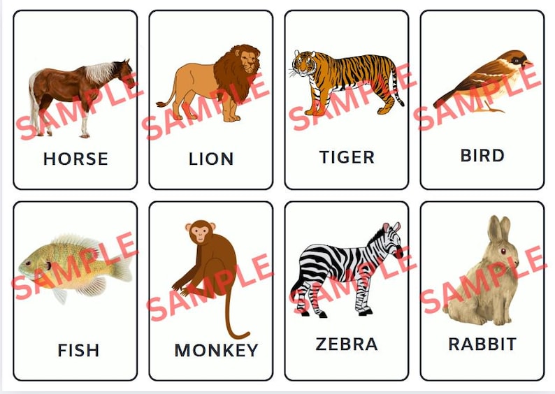 Printable Animal Flashcards for Kids | Preschool Learning Cards ...