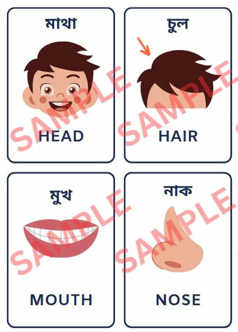 Bangla Body Parts Flashcards for Kids | Bengali Learning Printable ...