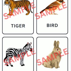 Printable Animal Flashcards for Kids | Preschool Learning Cards ...