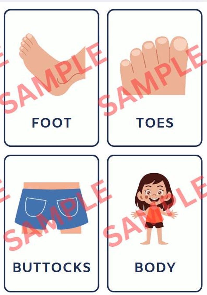 Printable Body Parts Flashcards for Kids | Preschool Learning Cards ...