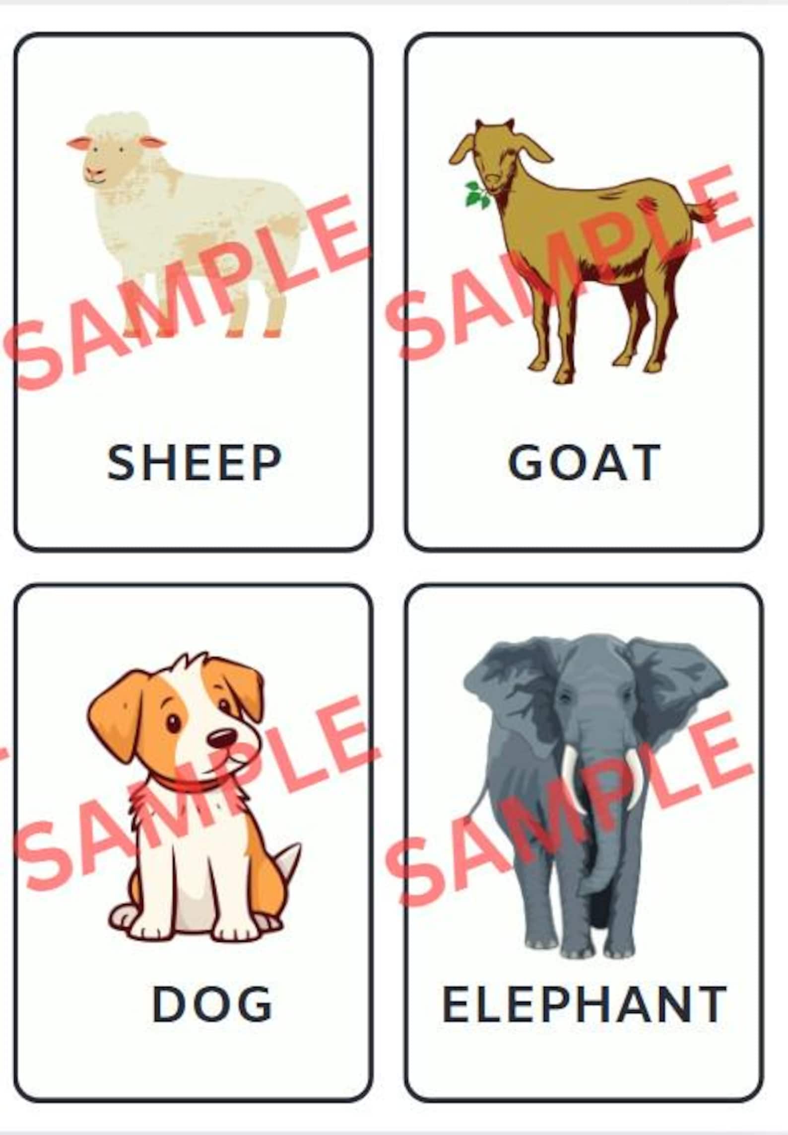 Printable Animal Flashcards for Kids | Preschool Learning Cards ...