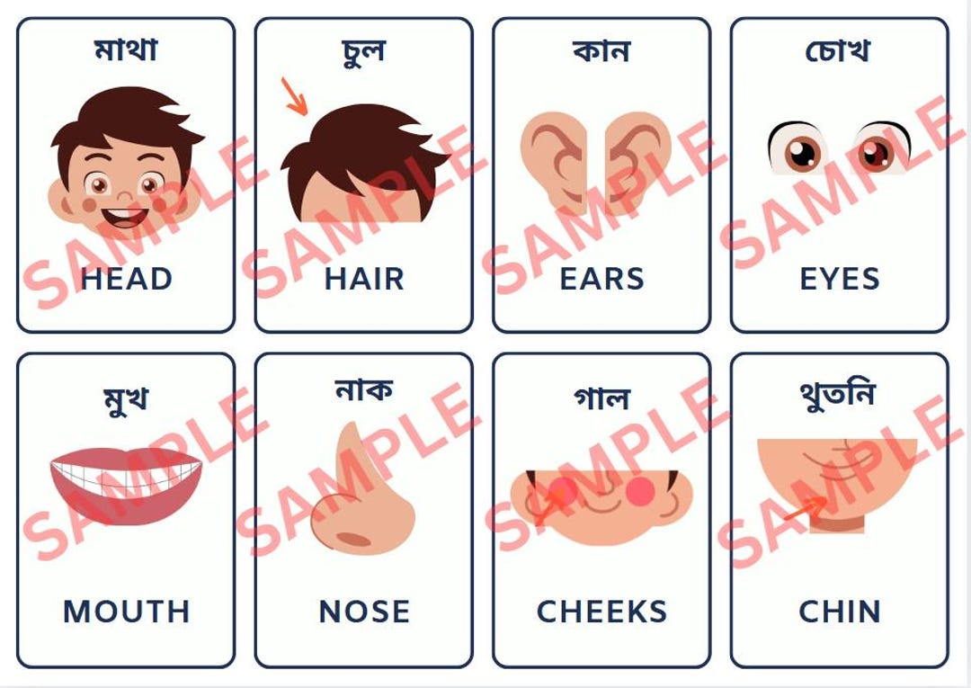 Bangla Body Parts Flashcards for Kids | Bengali Learning Printable ...