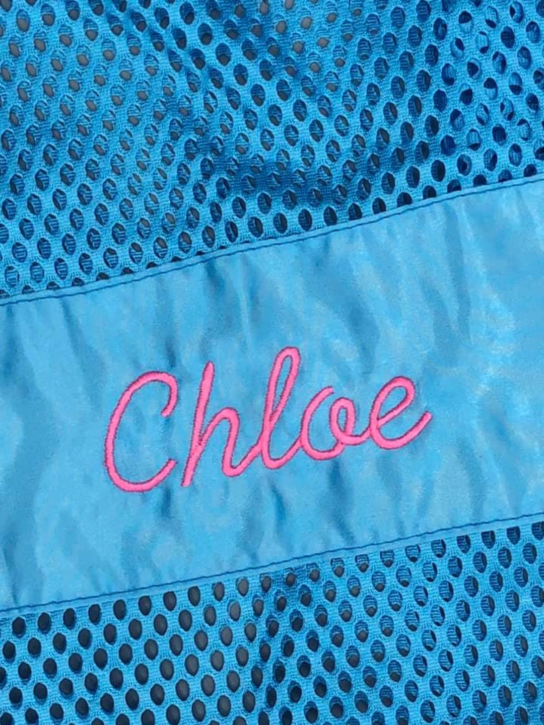 Mesh Pointe Shoe Bag With Embroidery - Etsy
