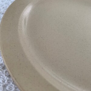 Prolon Dinner Plates, Prolon Plates - Etsy