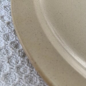 Prolon Dinner Plates, Prolon Plates - Etsy