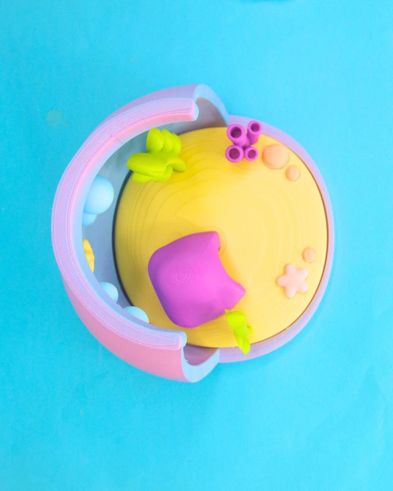 Axolotl Flexi Fidget and Cute Fish Tank STL & 3MF file for 3d printing ...