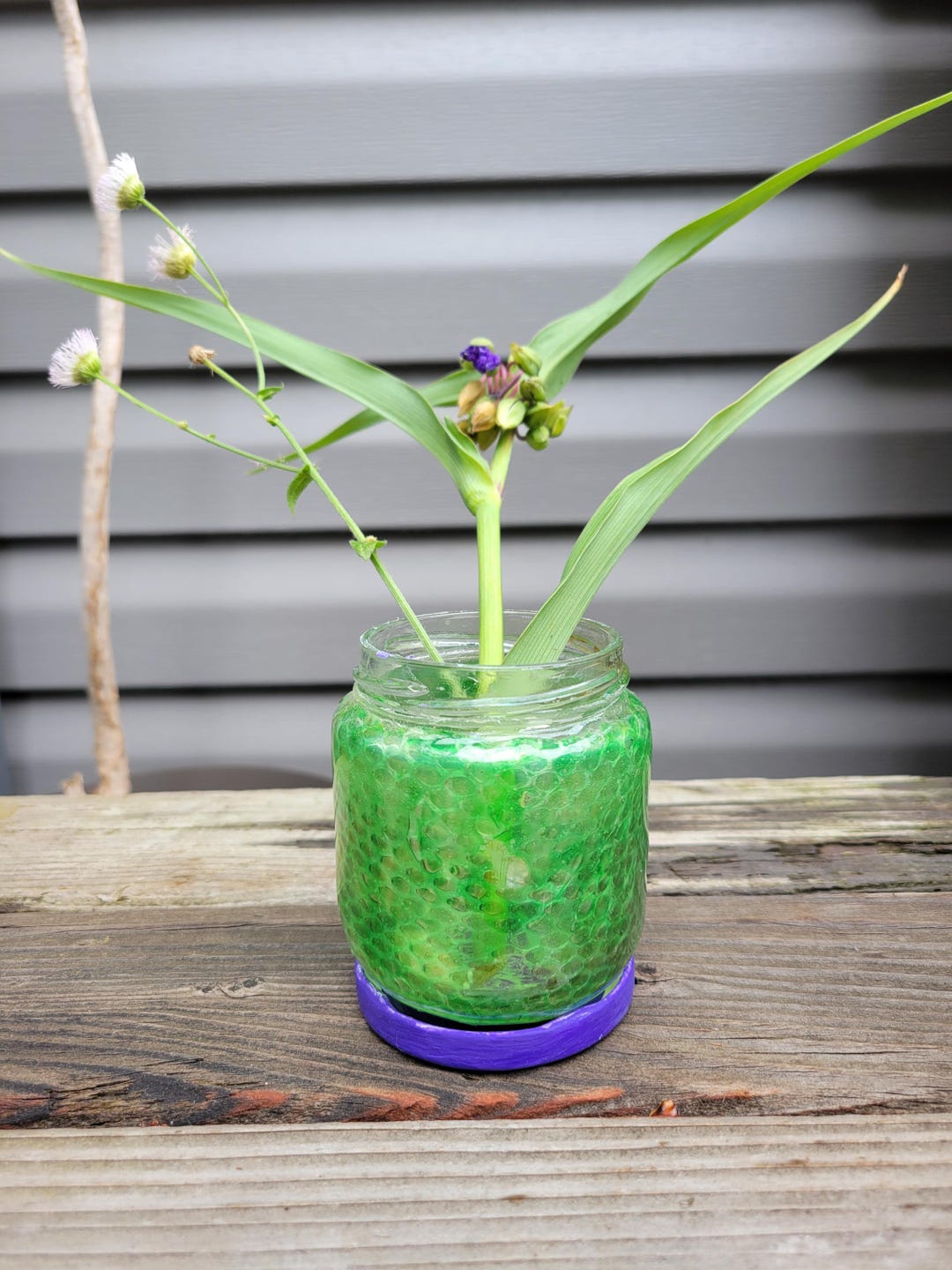 REANIMATED Snakeskin *mermaid Scales* Small Green Glass Jar W/ Purple ...