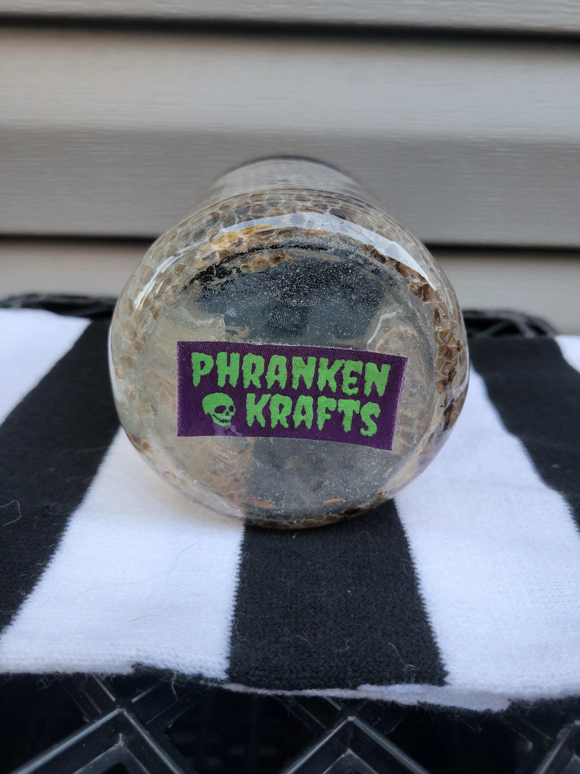 REANIMATED Snakeskin Ball Python Brown Tan Medium Glass Jar W/ Black ...