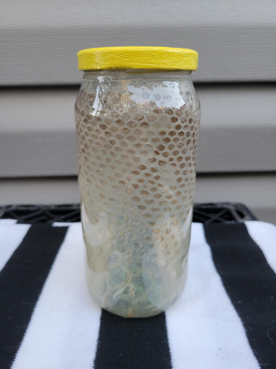 REANIMATED Snakeskin Belly Brown Tan Tall Medium Glass Jar W/ Yellow ...