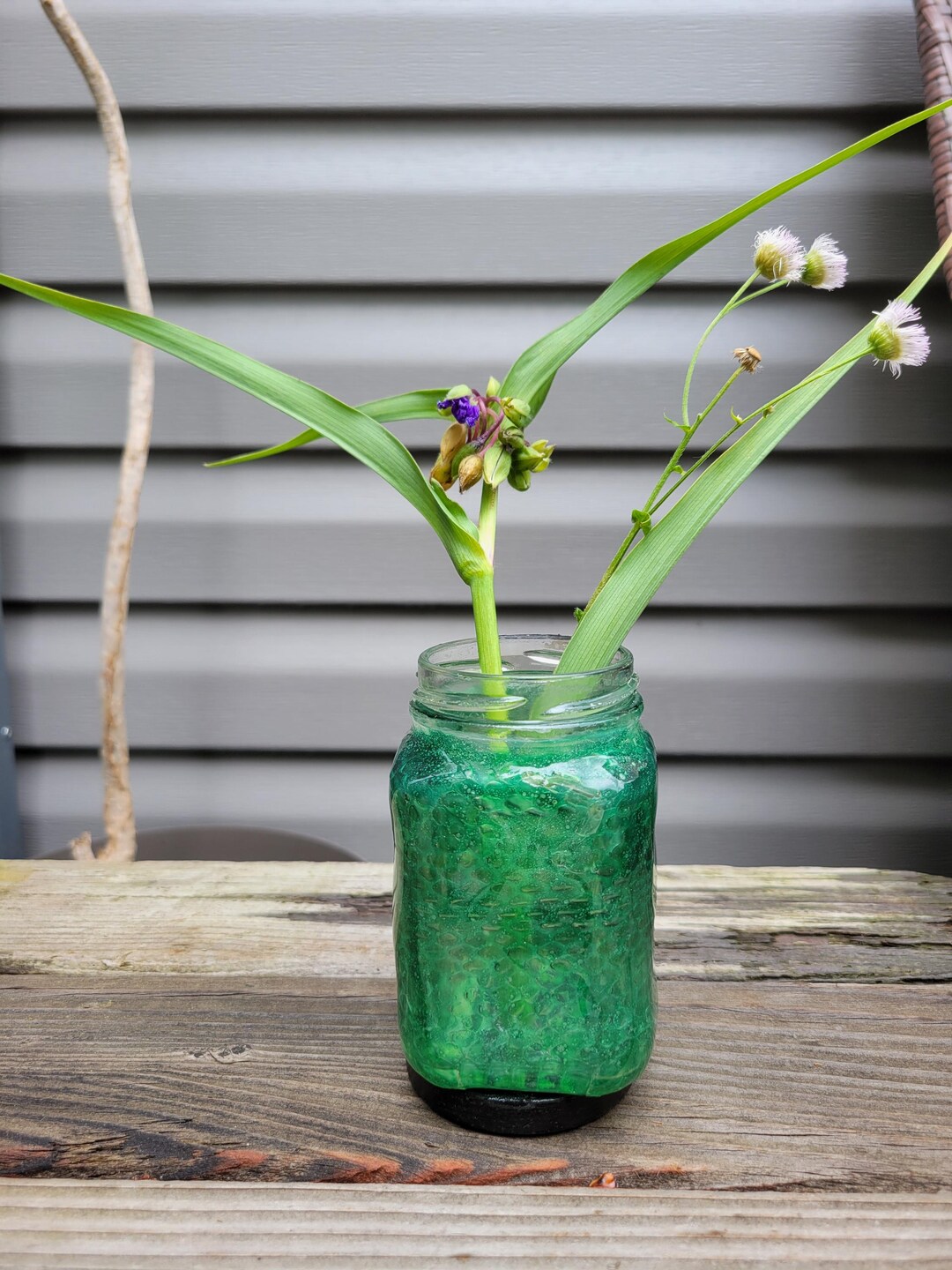 REANIMATED Snakeskin *mermaid Scales* Square Teal Glass Jar W/ Black ...